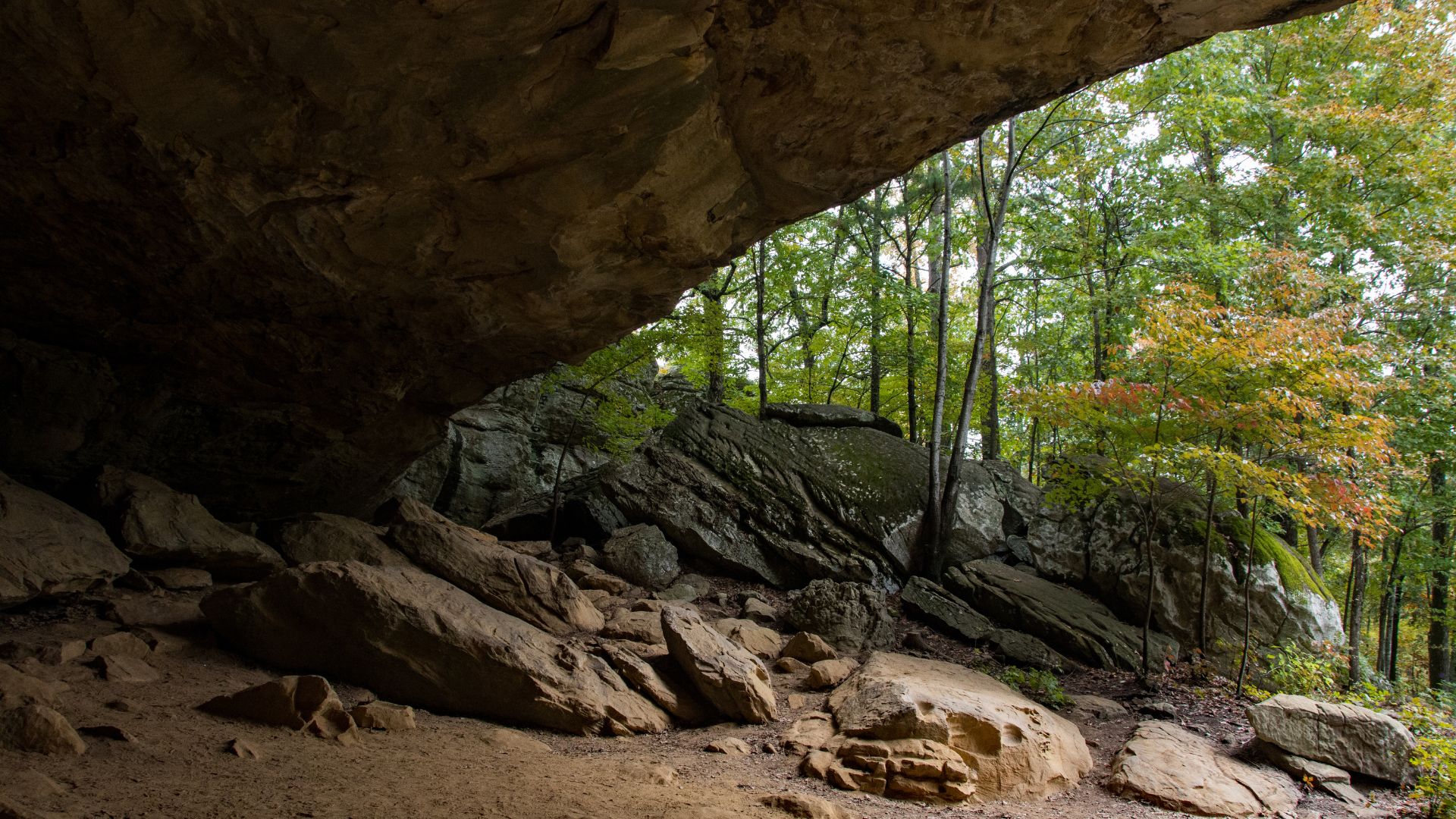 Your Guide to Graham Cave State Park