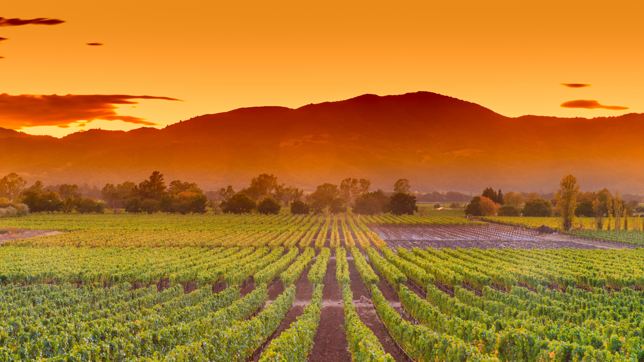 Exploring Anderson Valley Wineries and Staying at Anderson Valley Inn