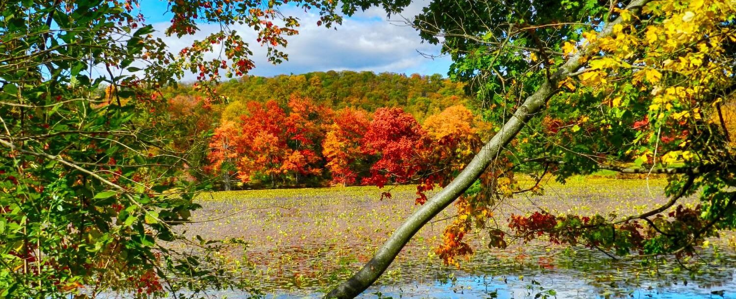 Walk the Best Hiking Trails in the Poconos | Mountaintop Lodge