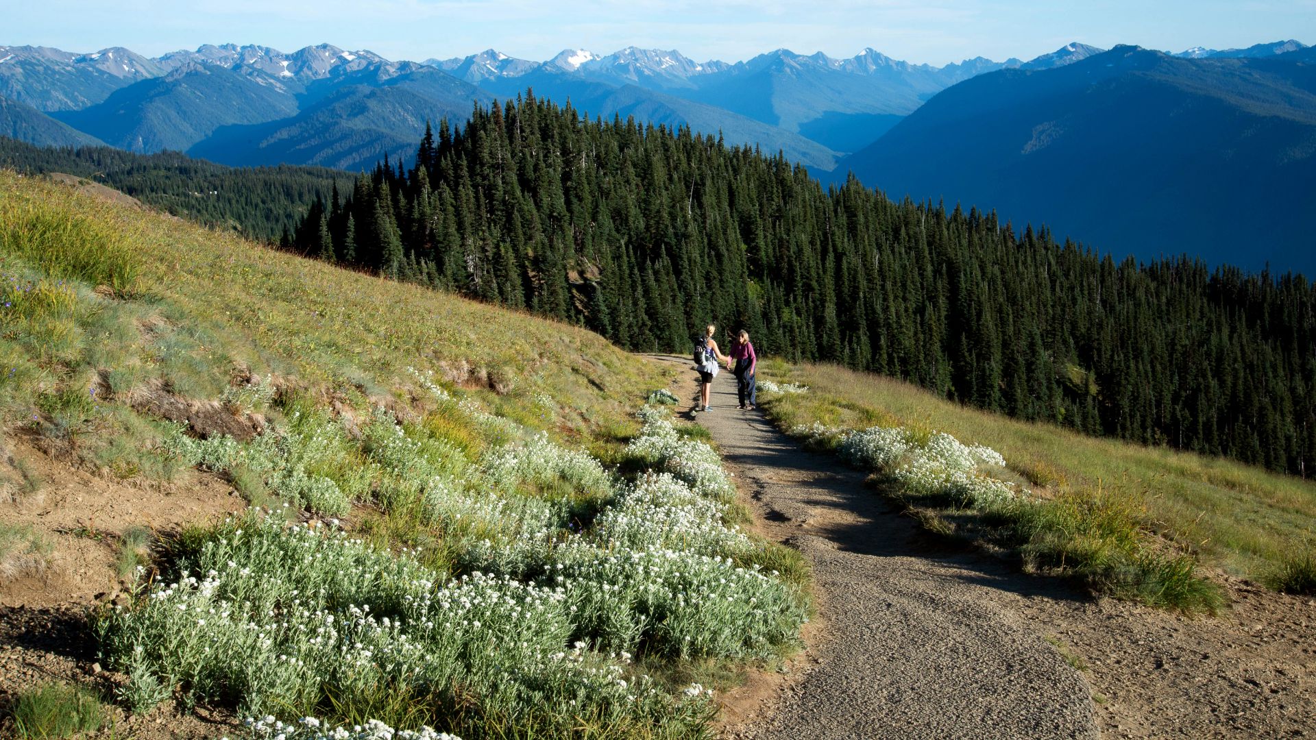 8 Top Outdoor Adventures near Seattle