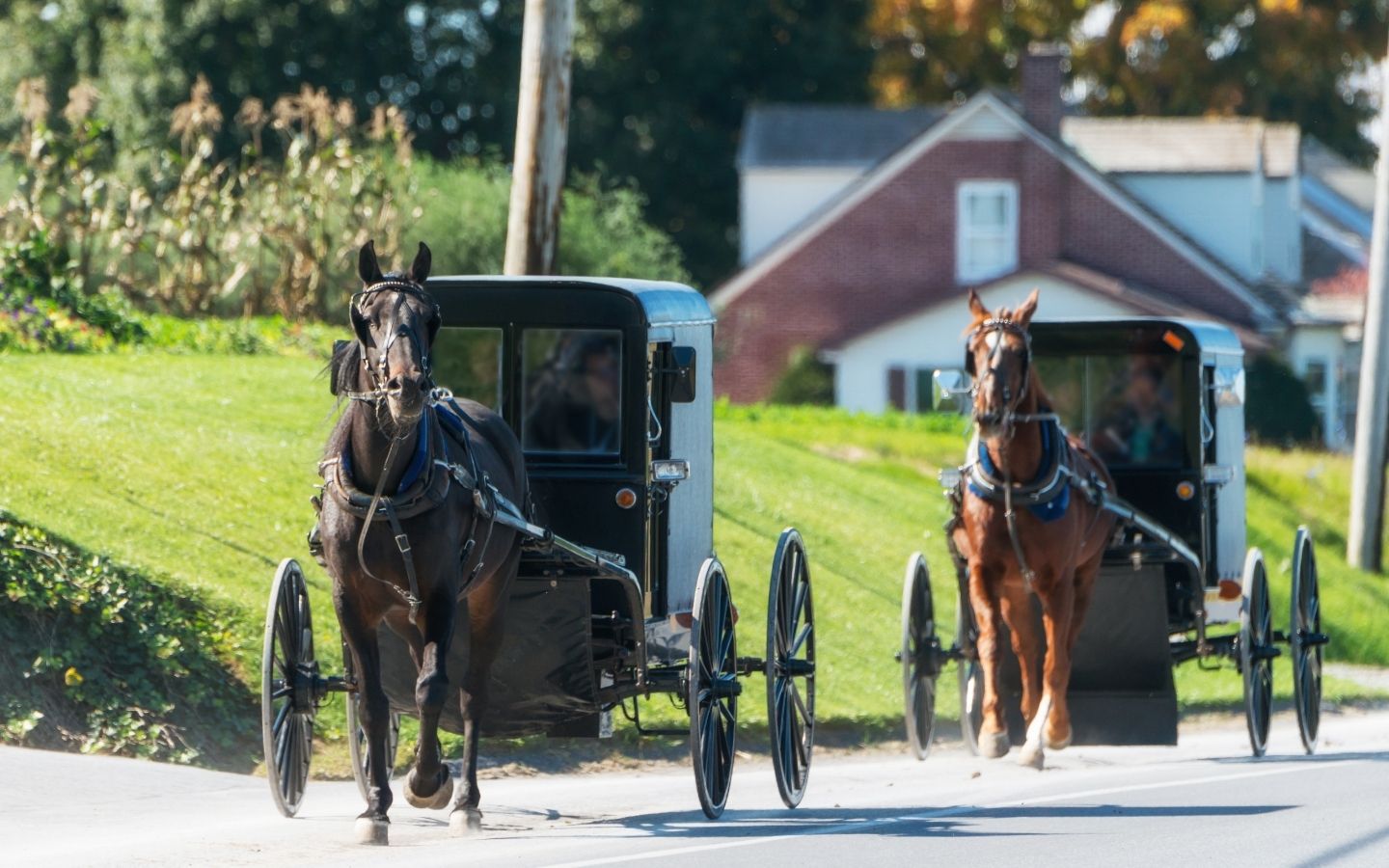 5 Fun Ways to Experience Amish Country