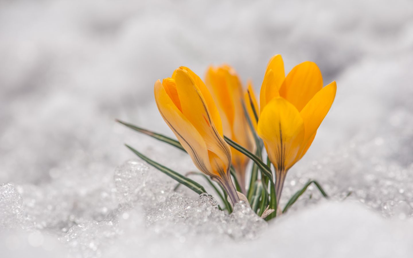 Top 10 Things to Do in Hershey in March 2023