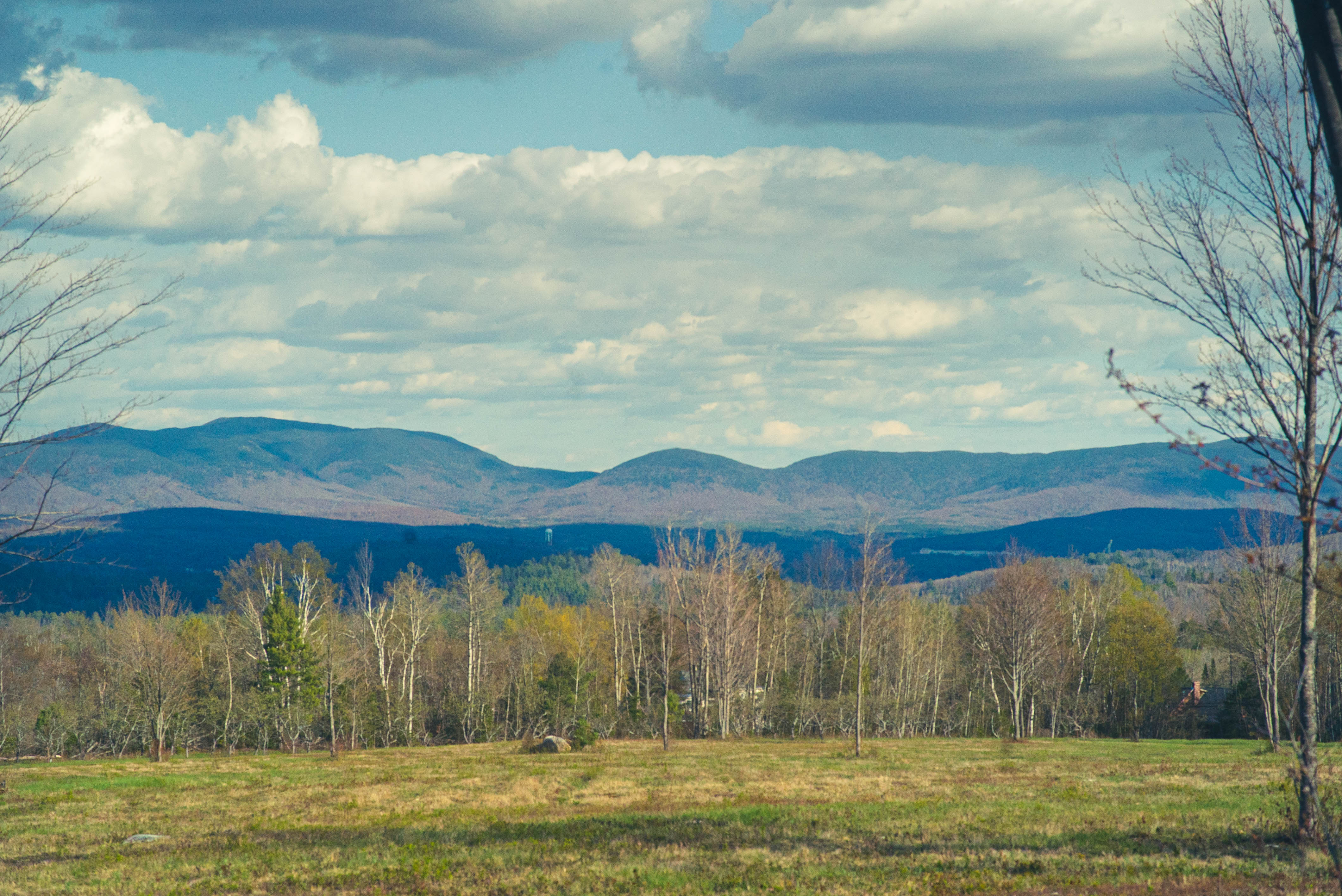 Why Spring Weddings in The White Mountains are Unforgettable
