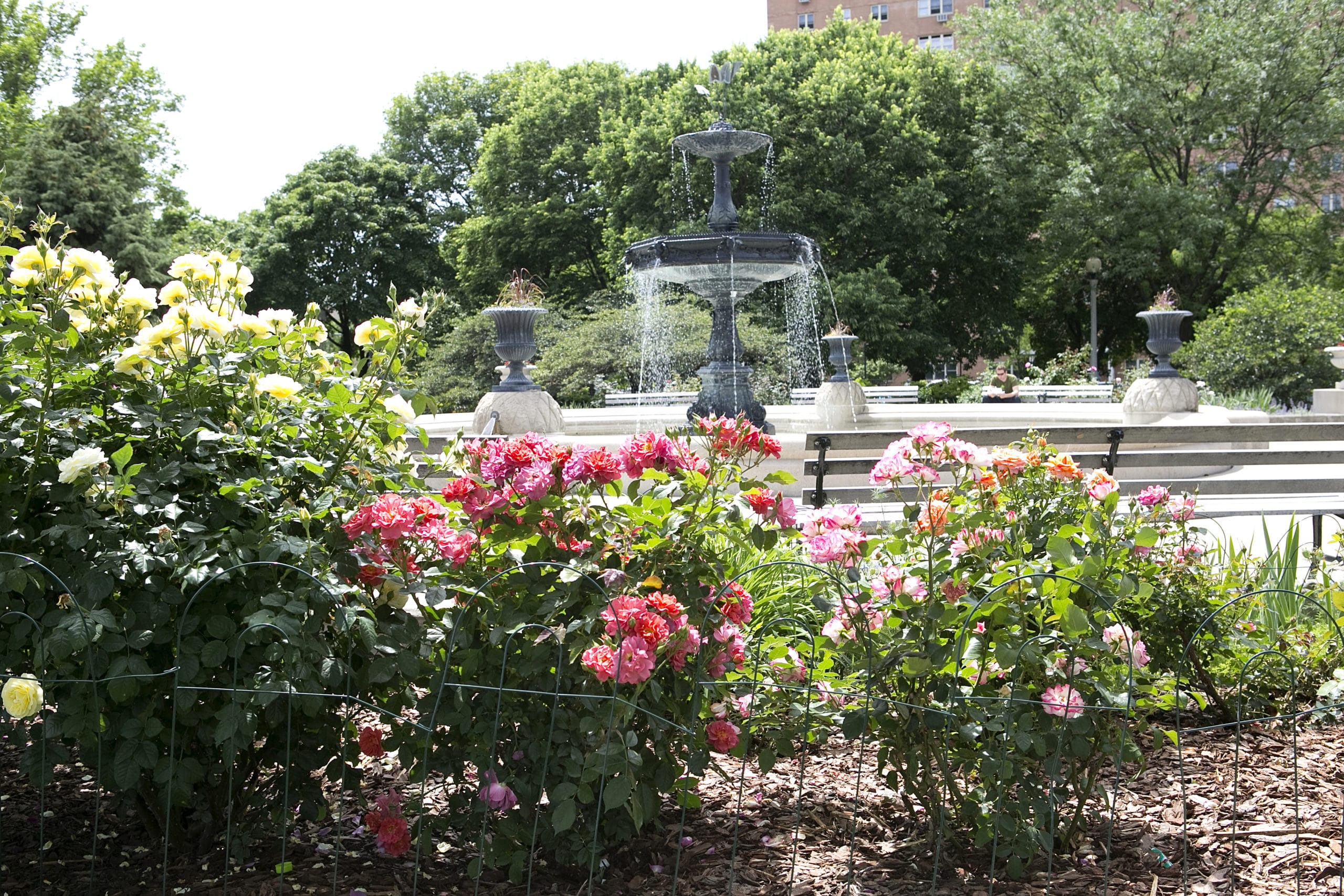 A Brief Bio on Wicker Park