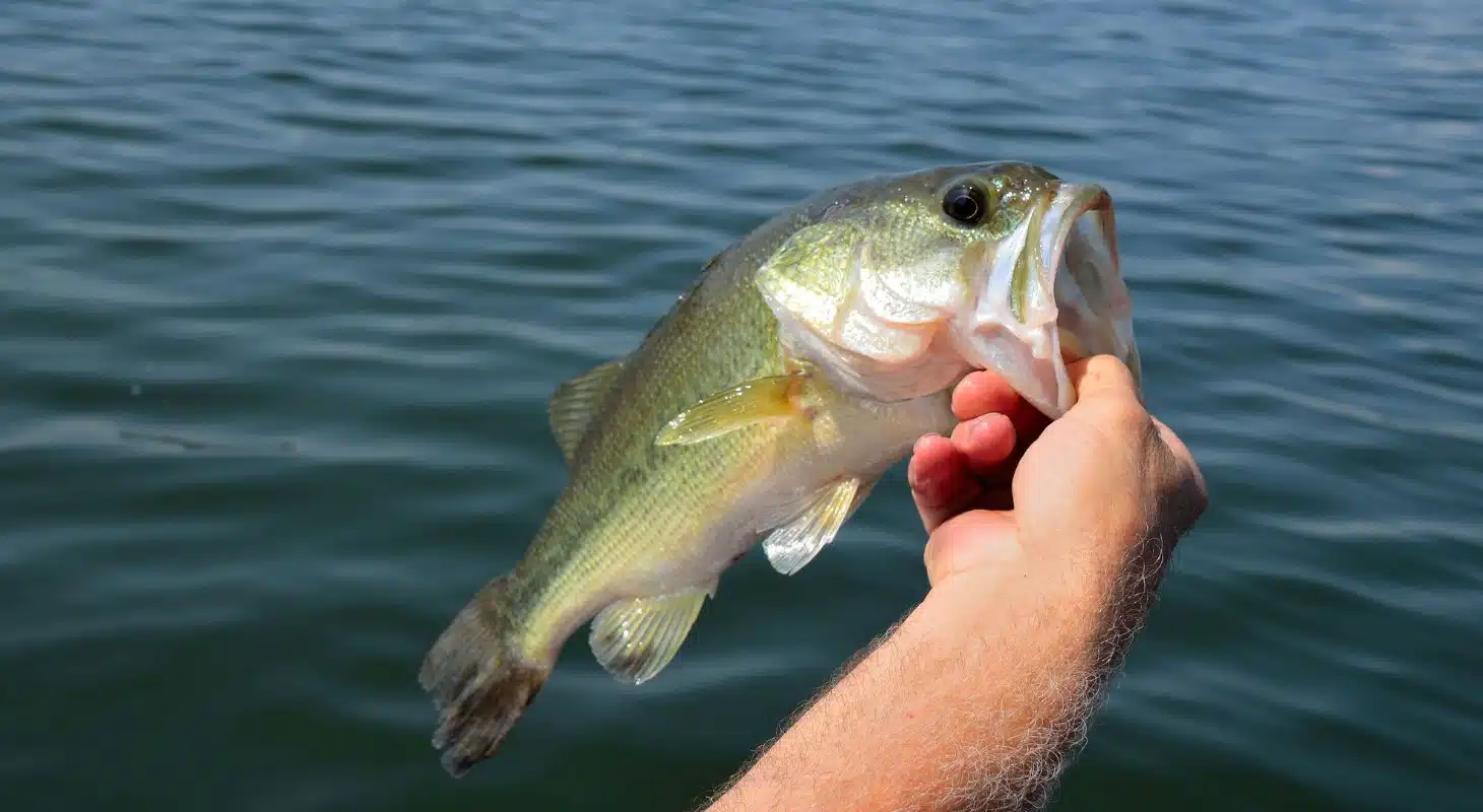 Best Places to Fish in Maine