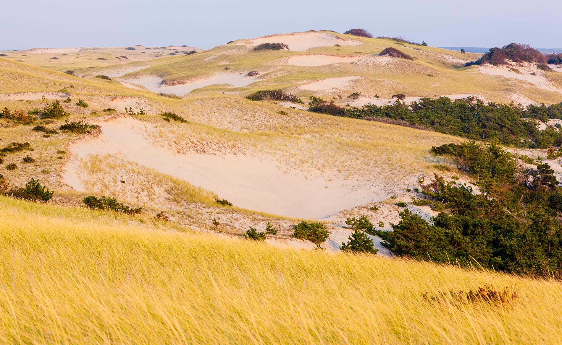 The Best Way to Experience Cape Cod's Sand Dunes