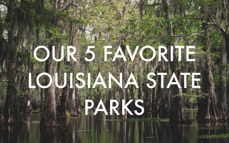 Our 5 Favorite Louisiana State Parks