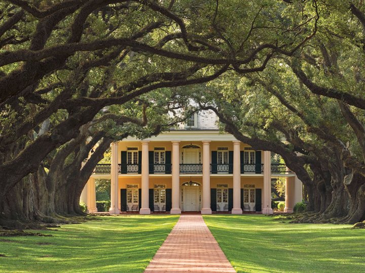 Regional Spotlight: Plantation Country