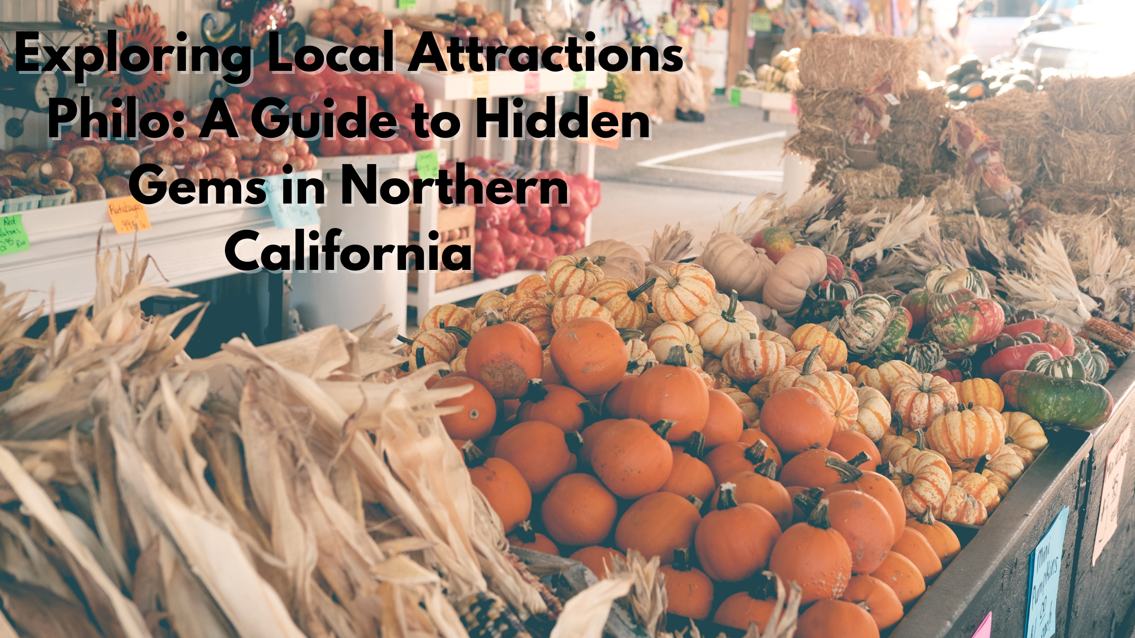 Exploring Local Attractions Philo: A Guide to Hidden Gems in Northern ...