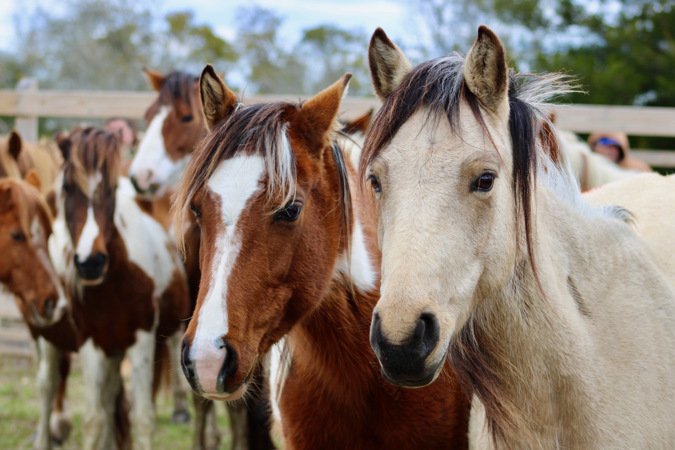 Spring Roundup Rundown