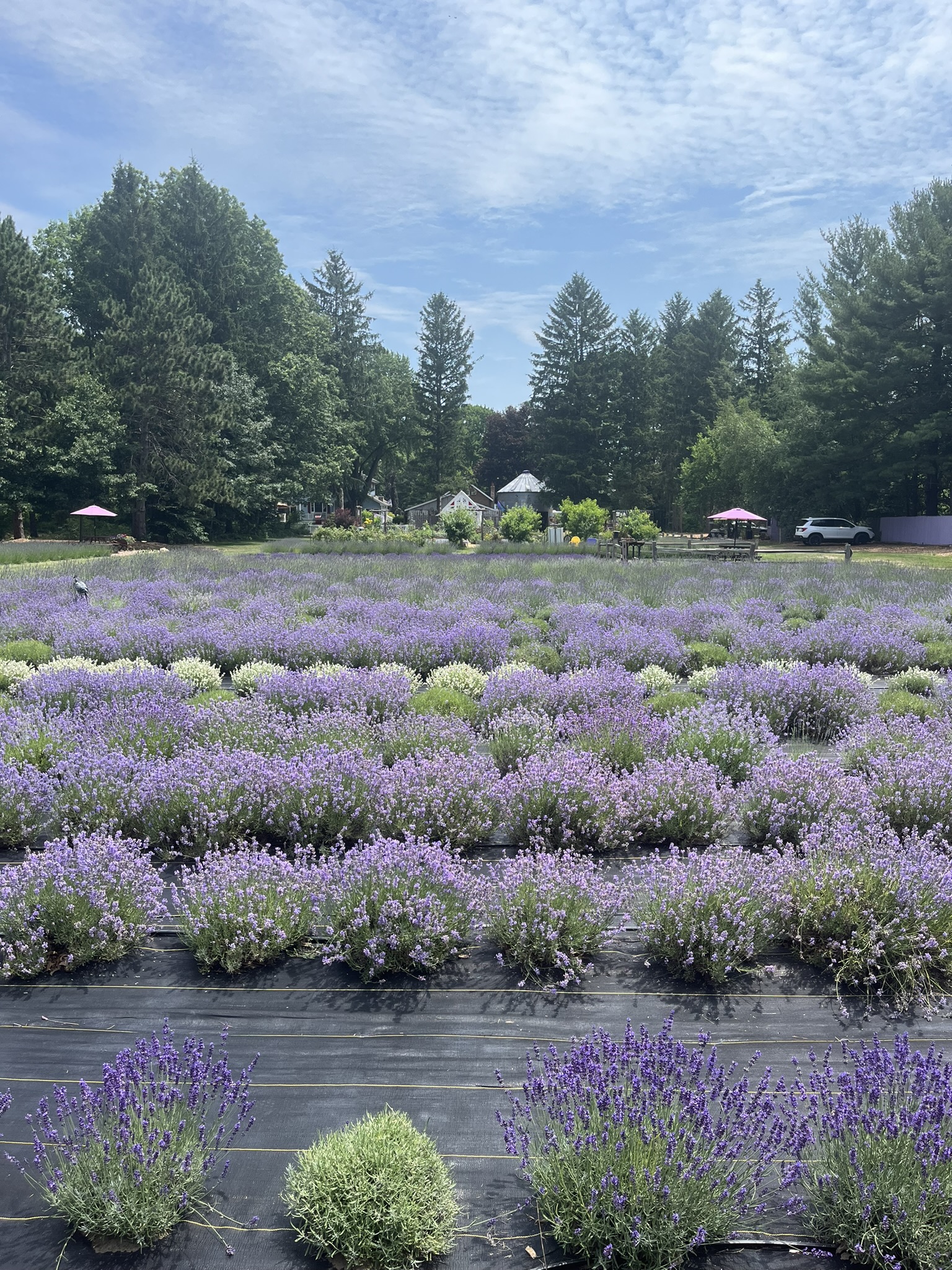 June 2026 Harbor Country Events | Southwest Michigan Activities ...