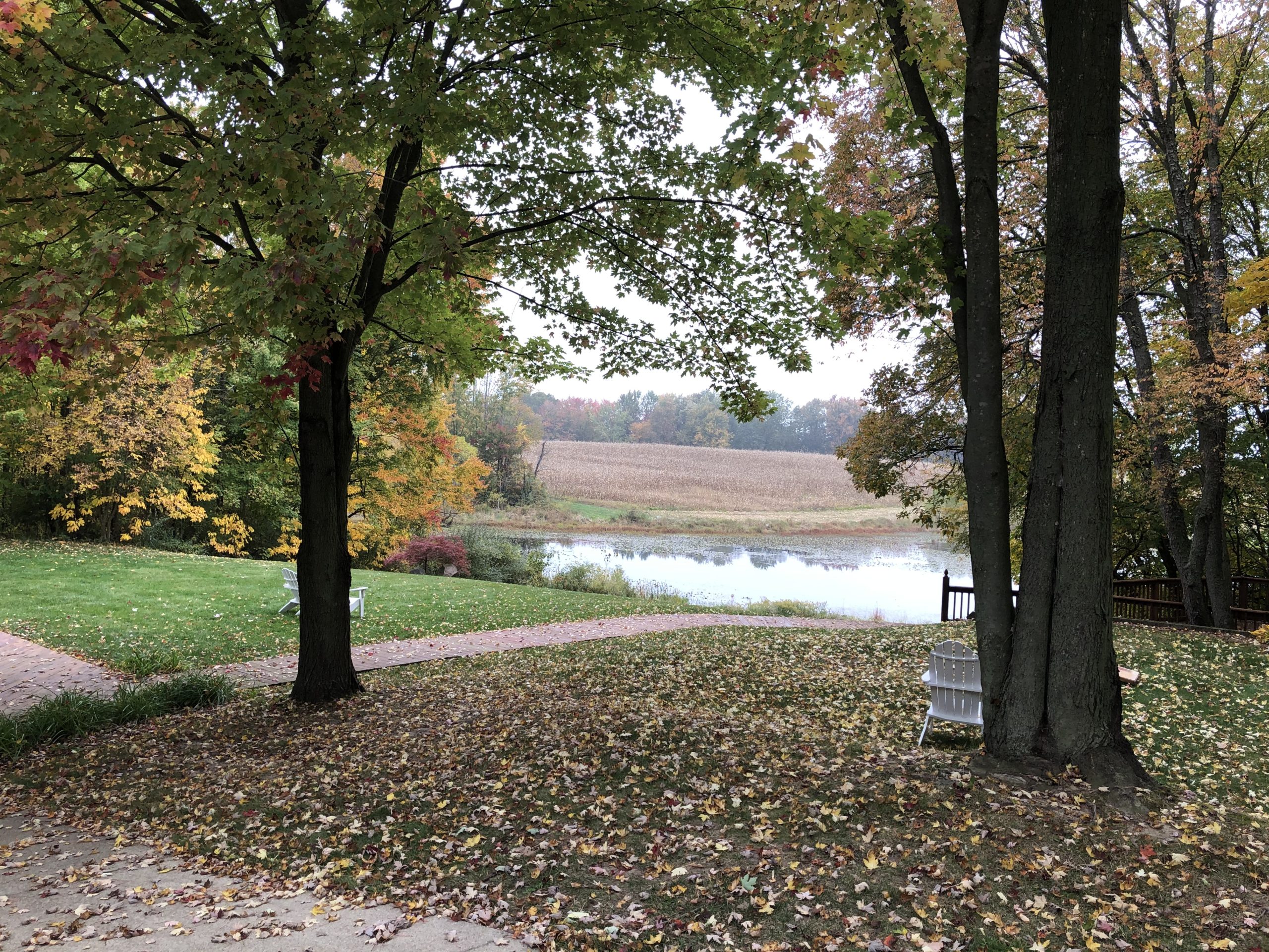 Fall Activities in Southwest Michigan