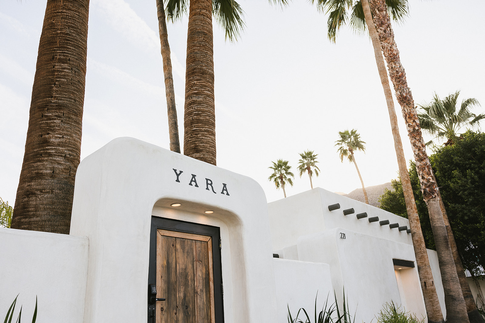 Palm Springs Weekend Itinerary: 48 Hours at Yara Hotel